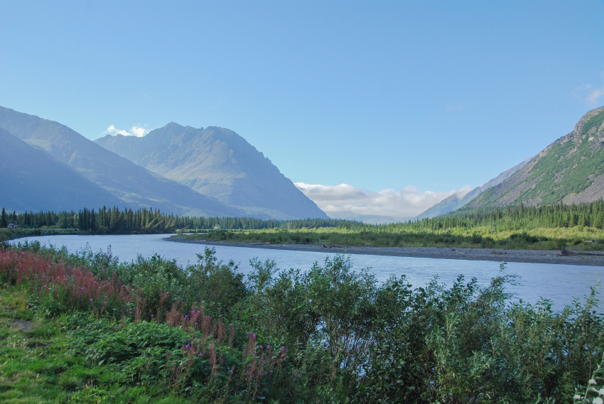 Denali National Park – Trums Travels