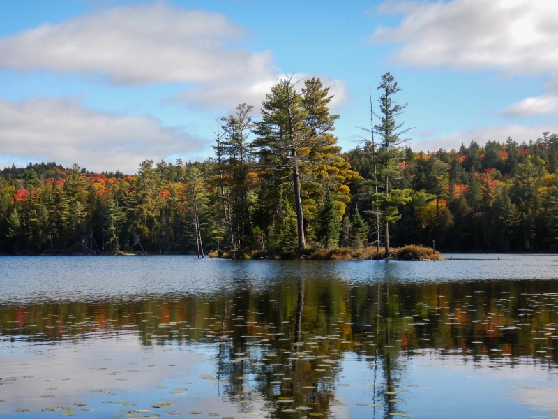 Just a couple of lakes in Algonquin Park… Autumn 2021 – Trums Travels